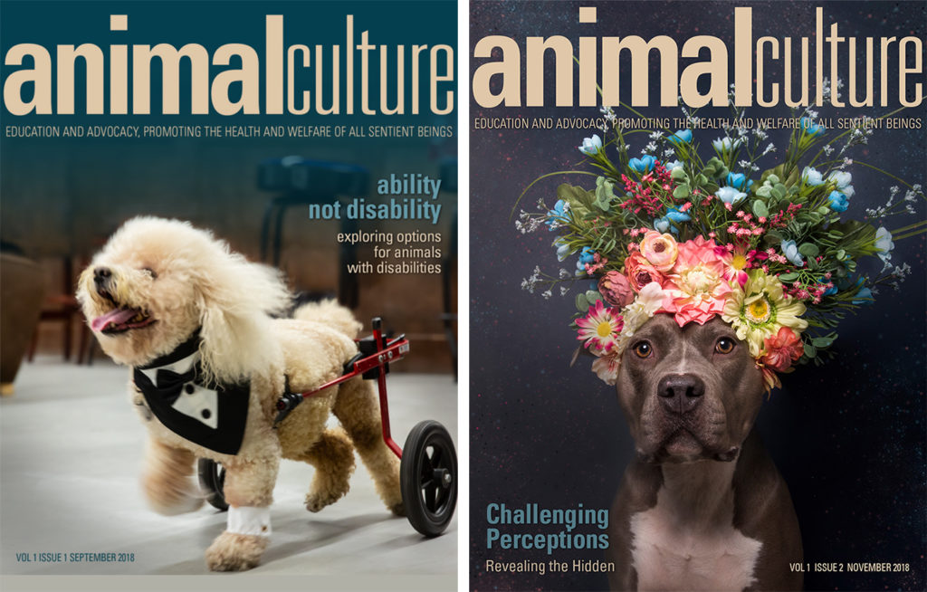 Spreading the Culture of Animals and Animal Culture - Culture & Animals ...