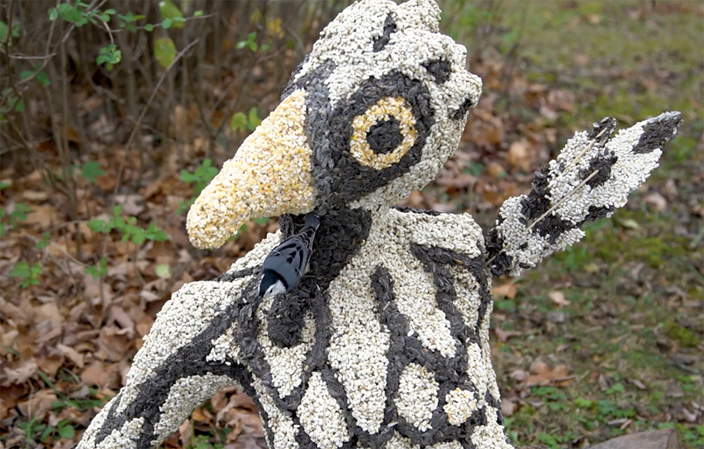 Leslie Ruckman Is For the Birds – Culture & Animals Foundation