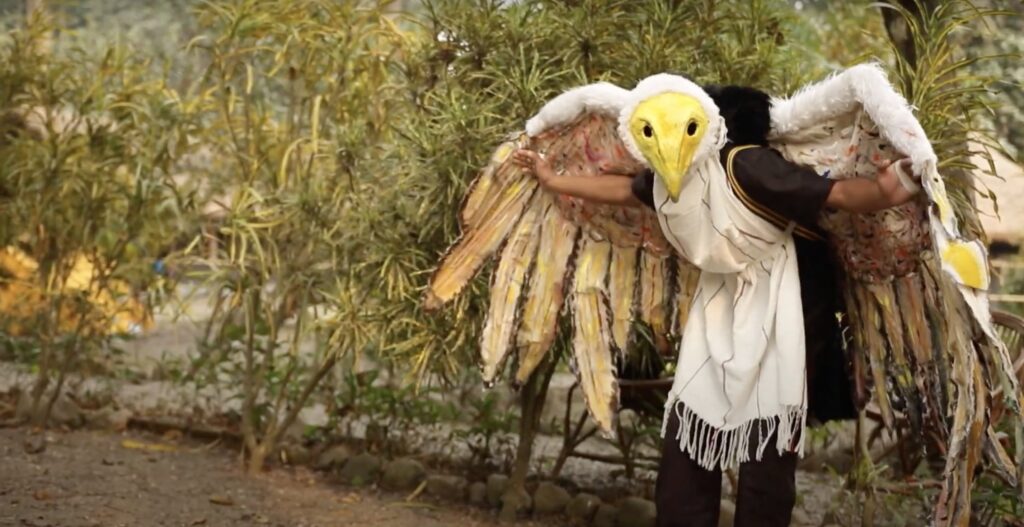 Protecting the Vultures of Nepal: An Interview with Namita Kandel ...