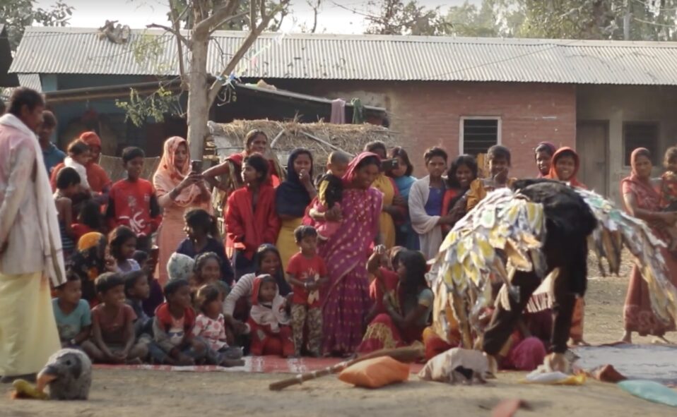 Protecting the Vultures of Nepal: An Interview with Namita Kandel ...