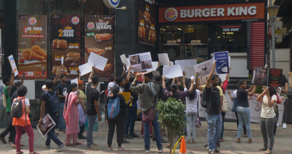 The Politics of Eating Animals in India – Culture & Animals Foundation