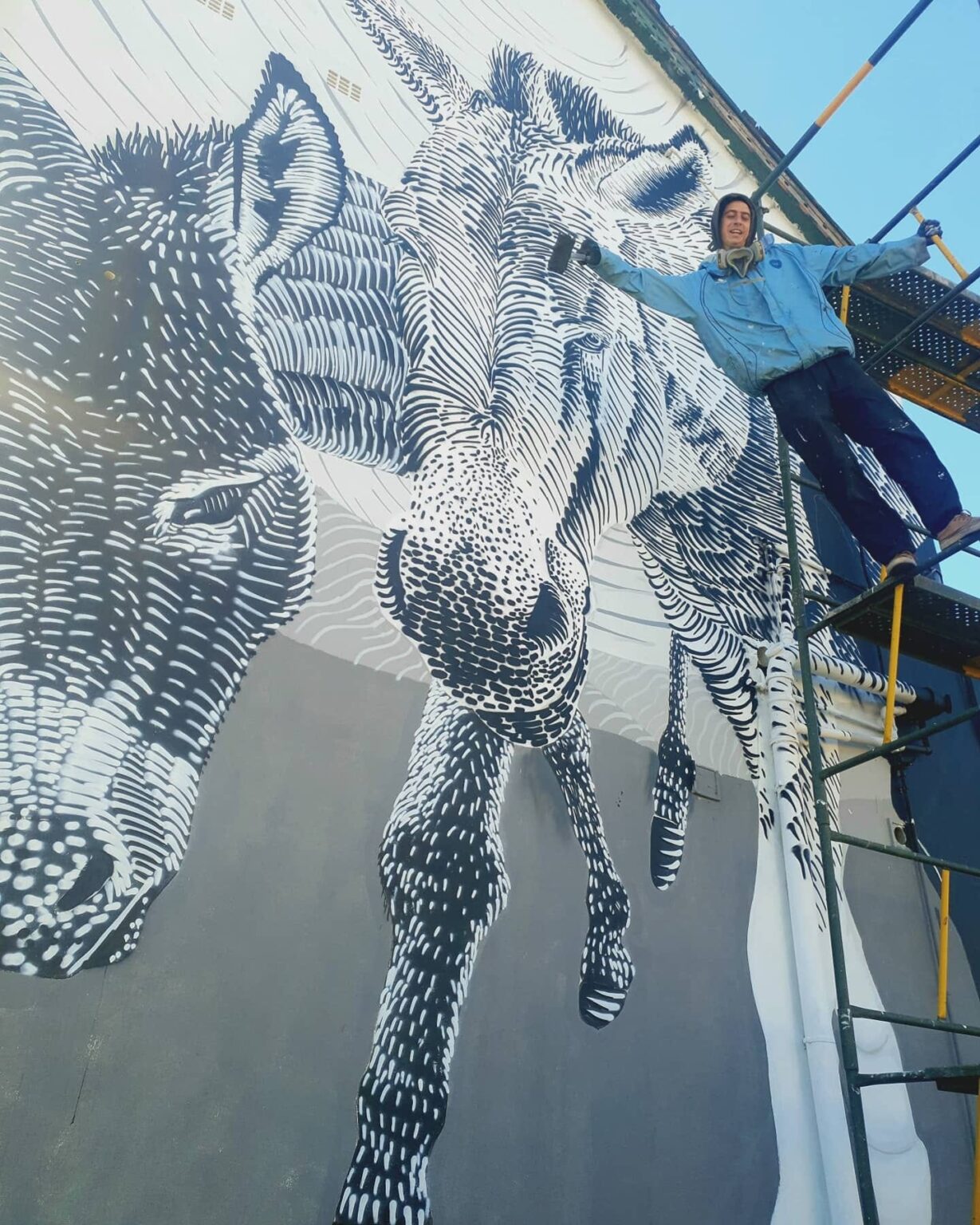 Daniel “Mook Lion” Chapman – Culture & Animals Foundation