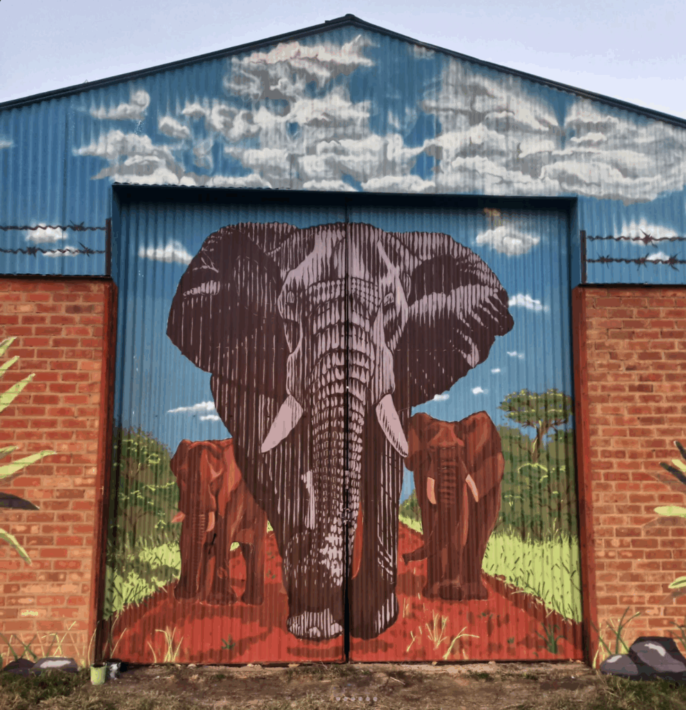 Mook Lion Is Restoring the Roam - Culture & Animals Foundation